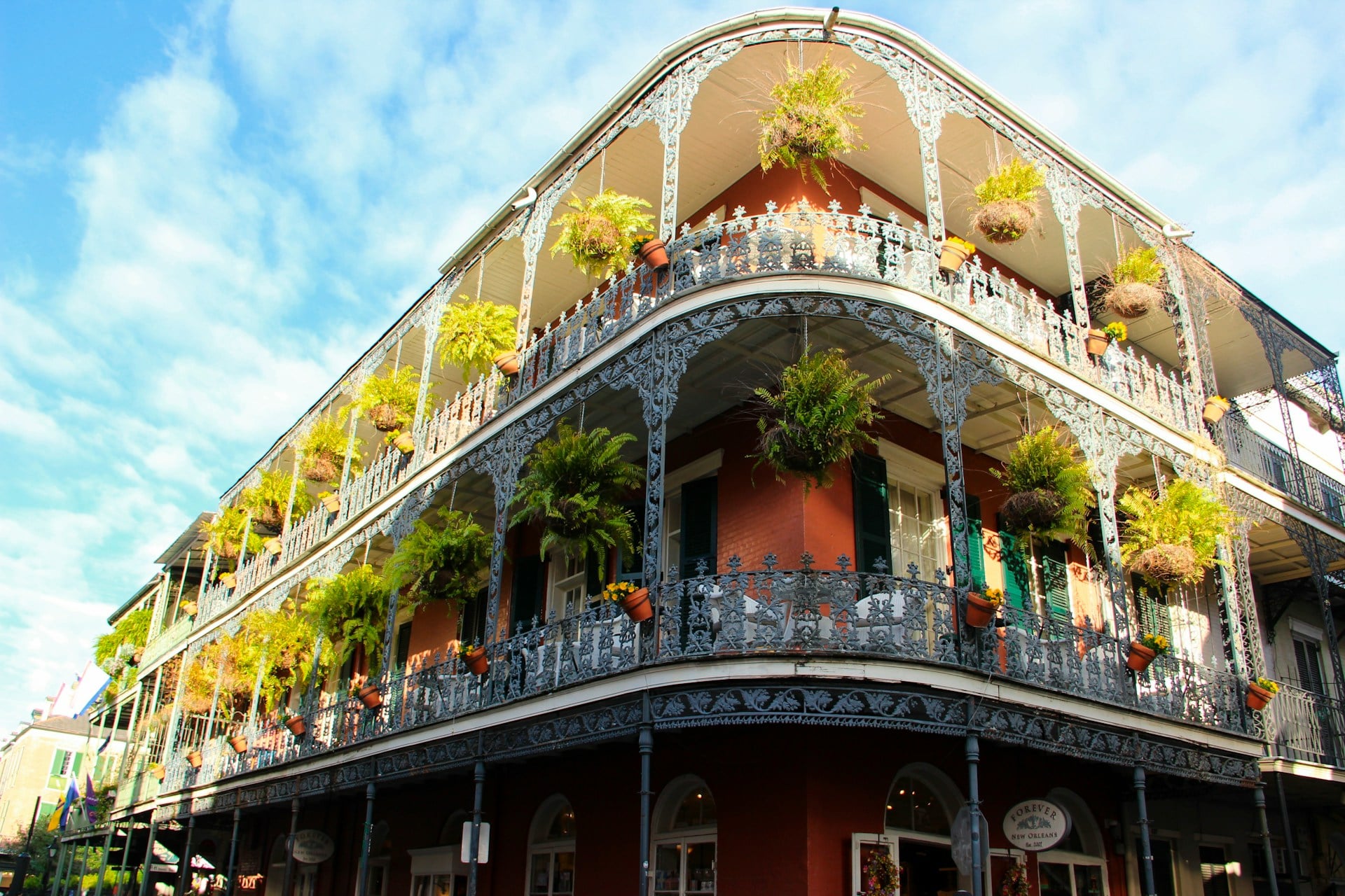7 Best Bachelor of Social Work Degree Programs in Louisiana - Social ...
